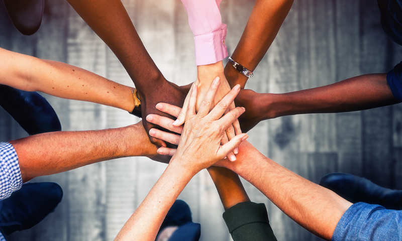 Benefitfocus | A Single Solution for Benefits Management